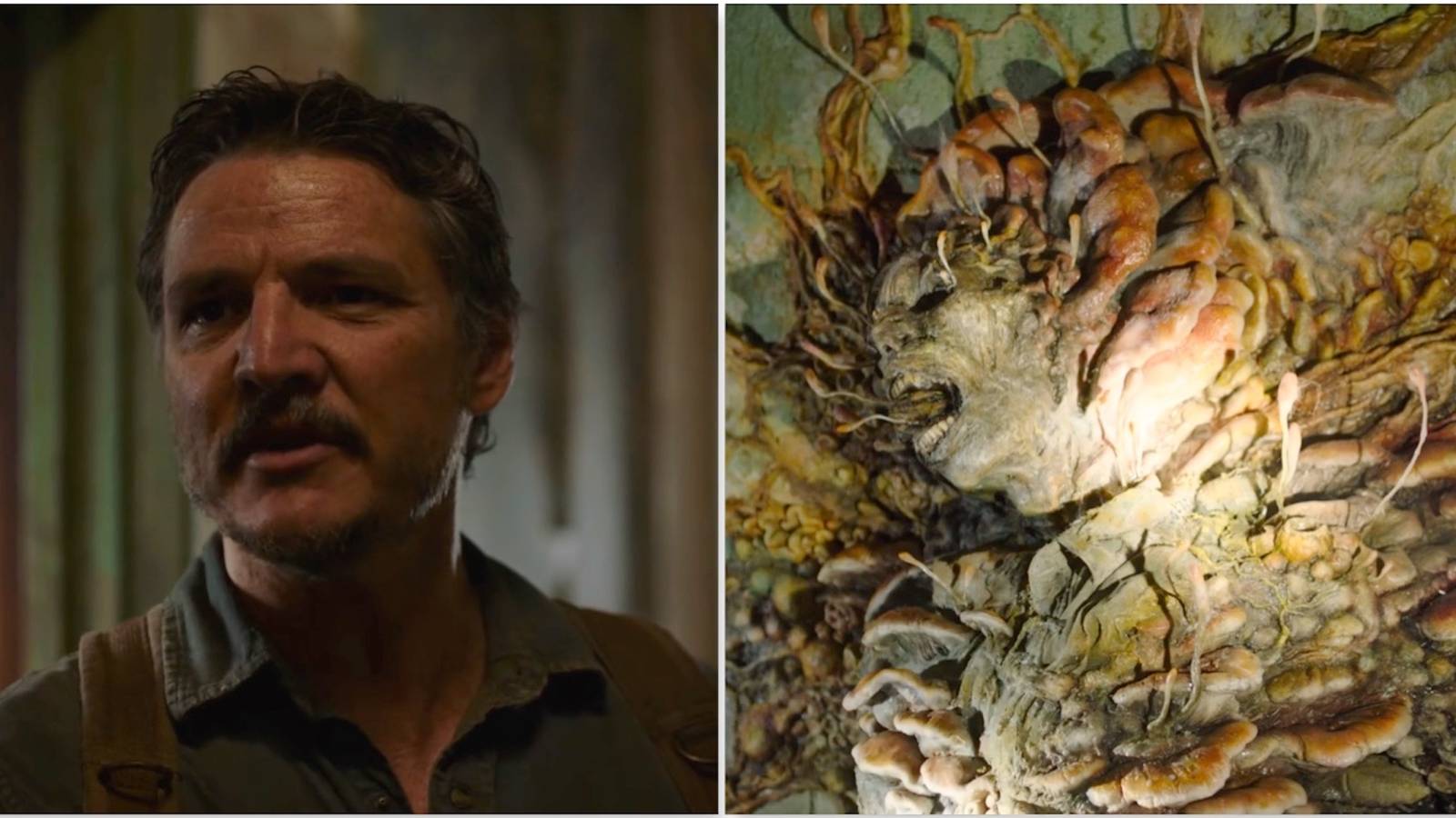 The Last of Us: What HBO Changes About the Story In Its First Episode