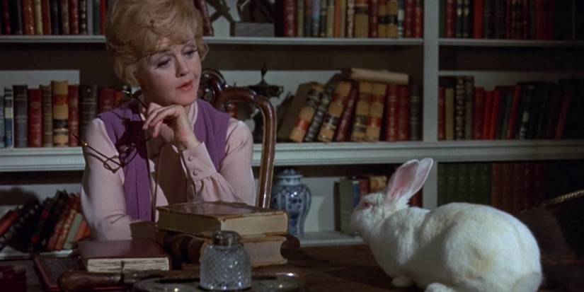 Best Movies That Feature Rabbits