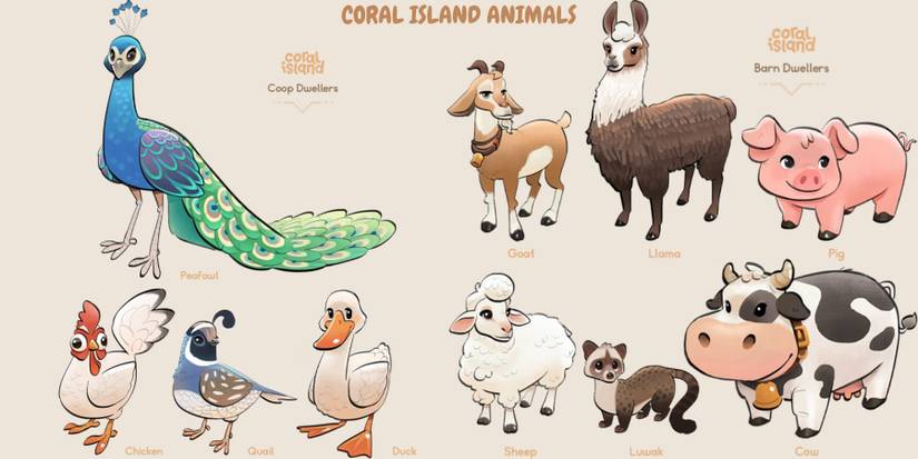 Coral Island: How to Build a Barn and Coop