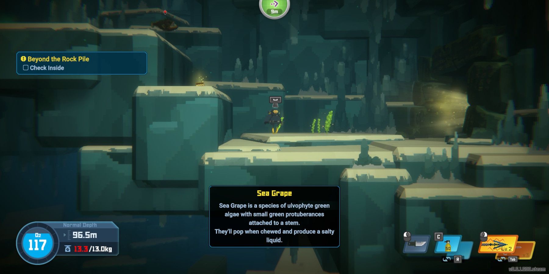 Dave The Diver: Where to Find Sea Grapes