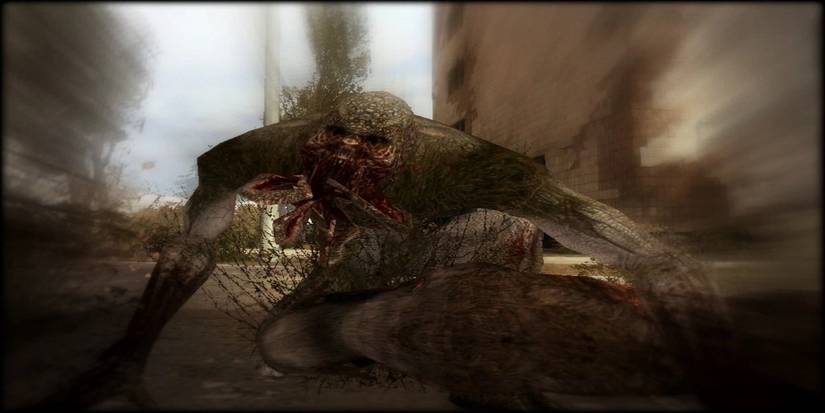 Stalker Mutant Types Explained