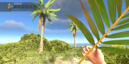 Stranded Deep How To Get Palm Frond