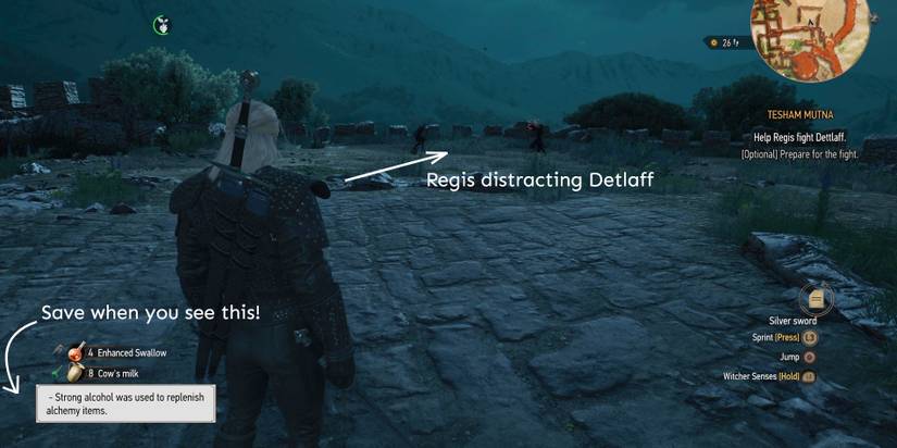 The Witcher 3 Quest Guide: Tesham Mutna