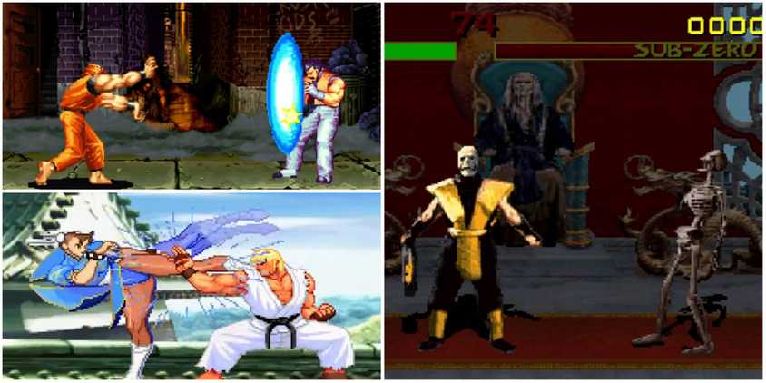 Fighting Games With The Most Playable Characters
