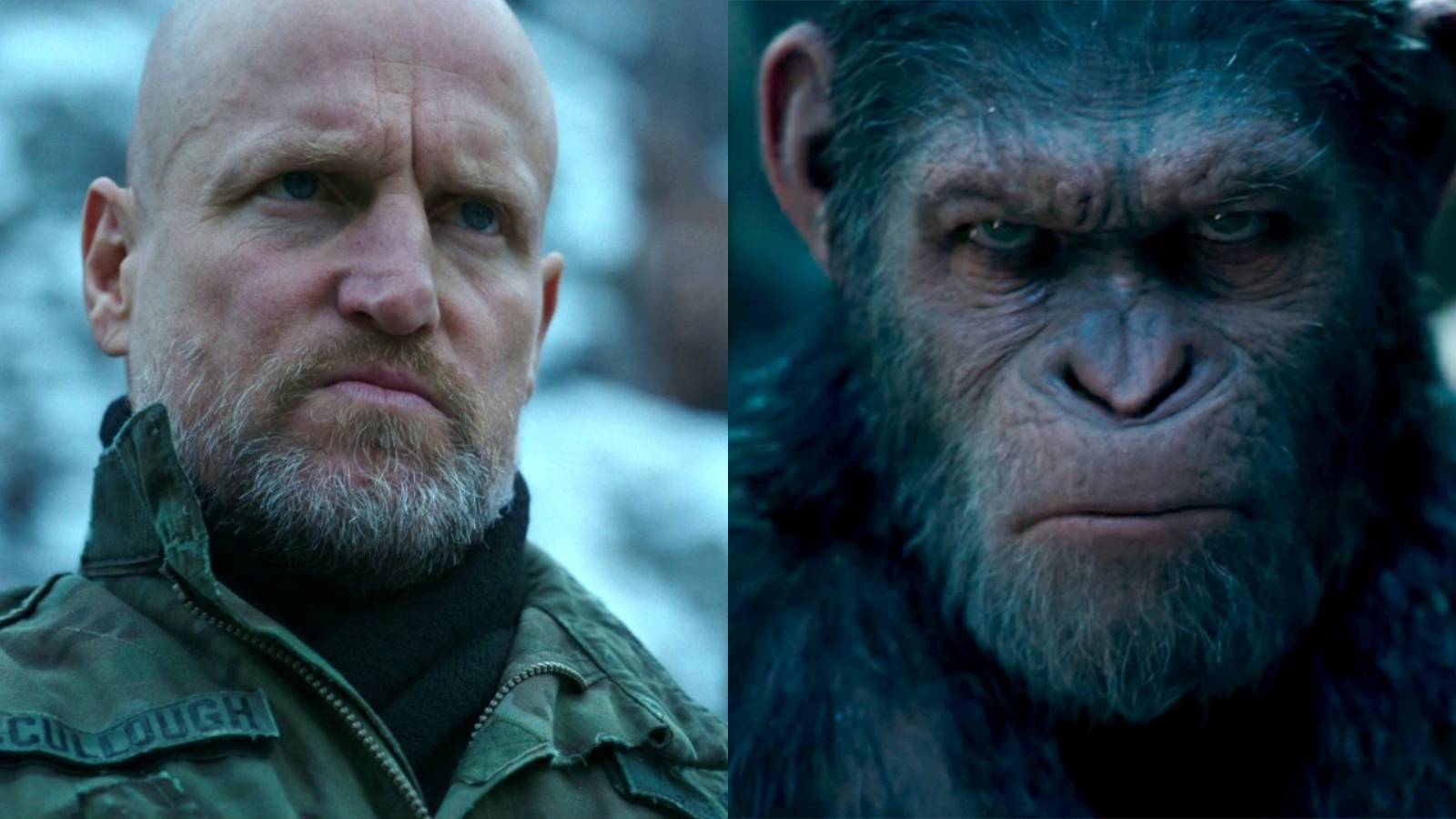 Woody Harrelson Regrets Something About War For The Planet Of The Apes