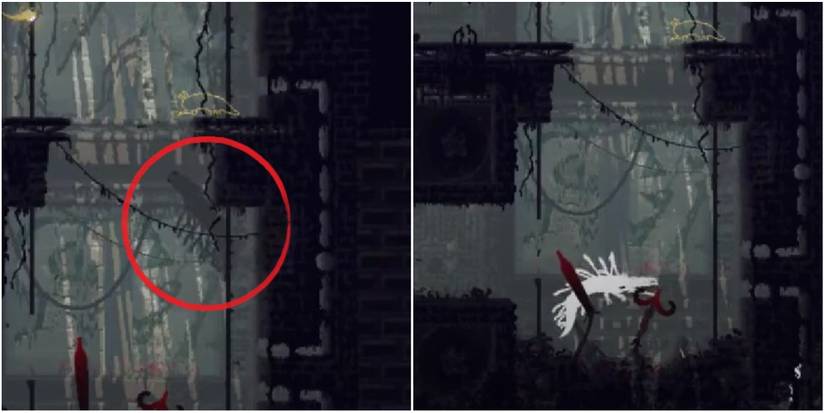 Rain World: Best Lizards to Tame