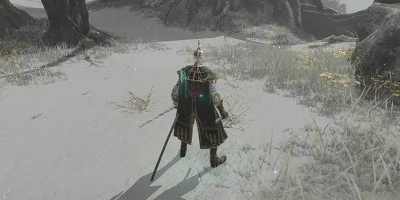 Elden Ring Best Crystal Tears For The Flask Of Wondrous Physick