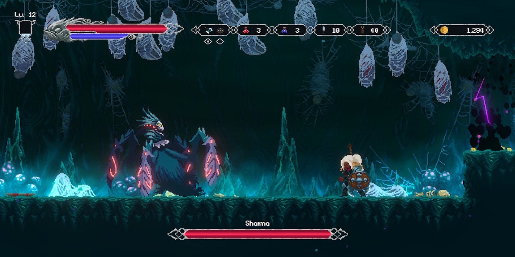 Beginner Tips For Elderand