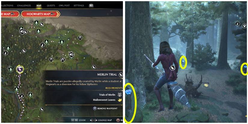 Hogwarts Legacy: How To Solve All Merlin Trials In Forbidden Forest