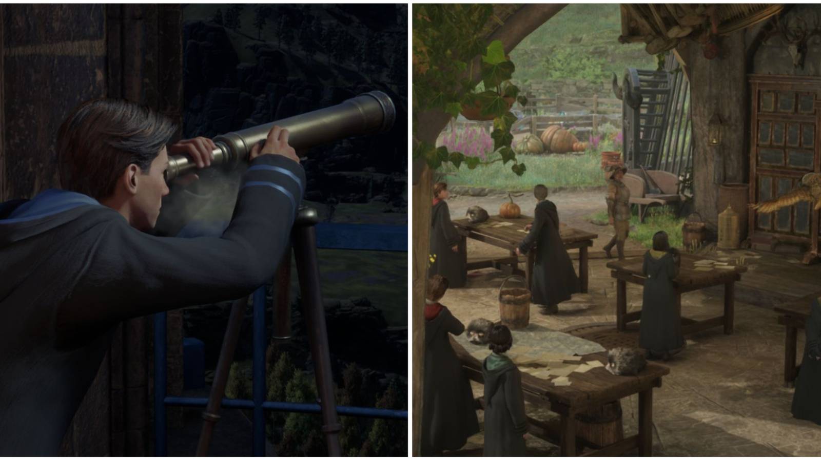 Hogwarts Legacy: The Best Classes, Ranked