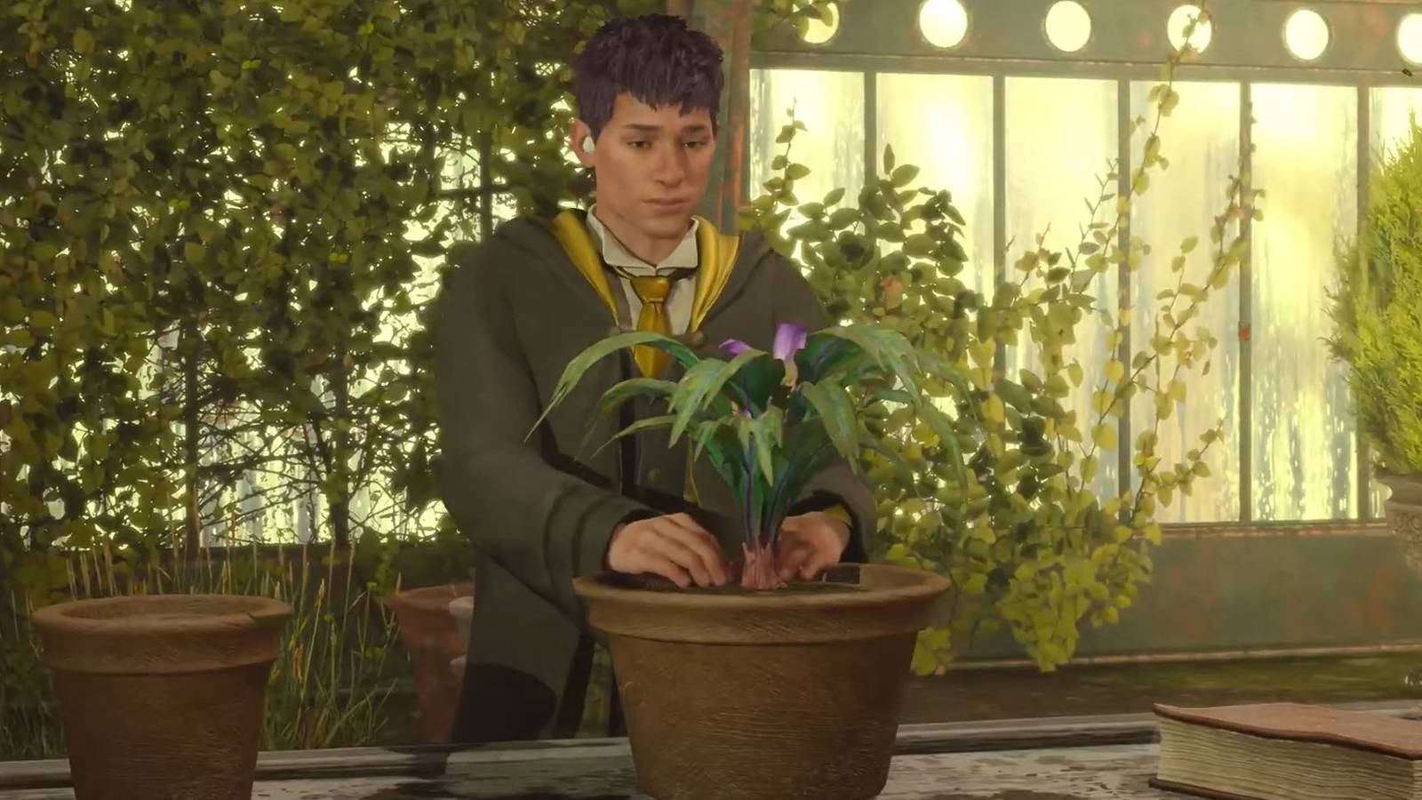 Hogwarts Legacy Walkthrough: Living as a Student Until Professor Fig Returns