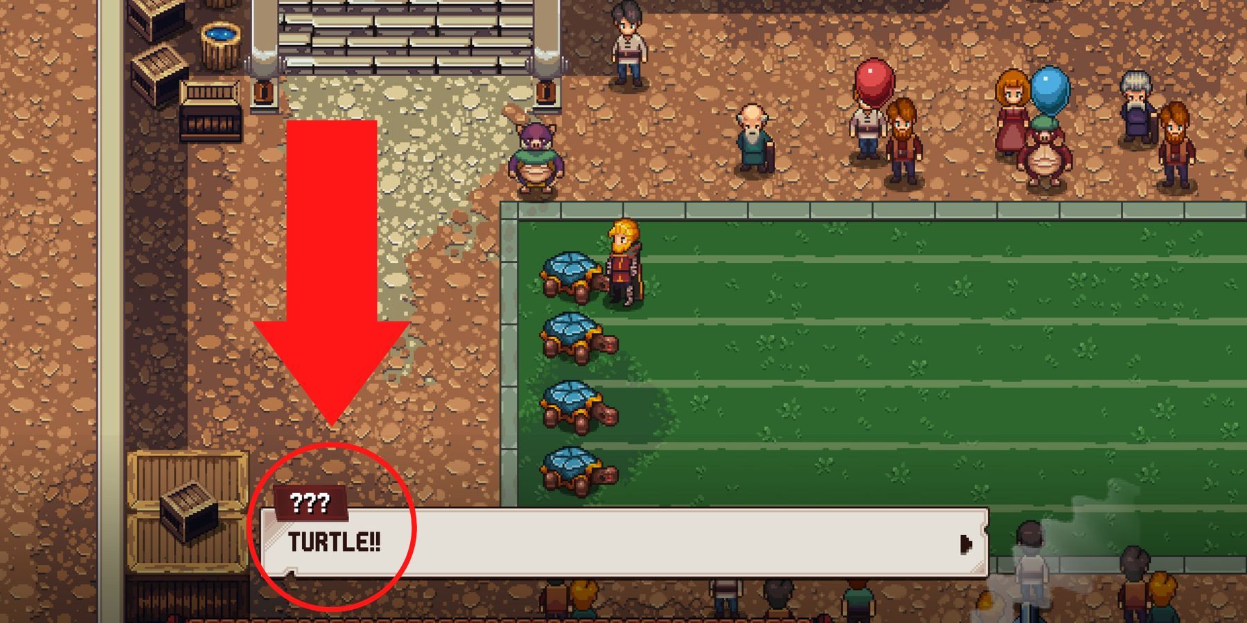 Chained Echoes: How to Win the Turtle Race Mini-Game