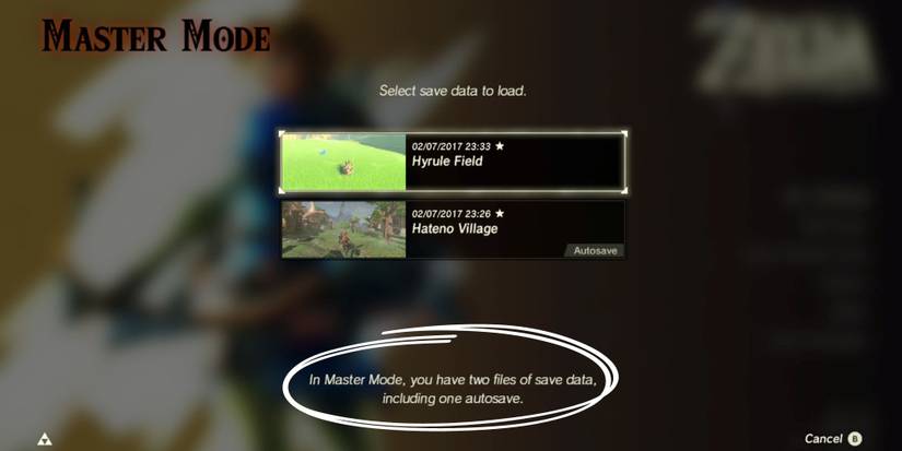 Breath Of The Wild: How To Save