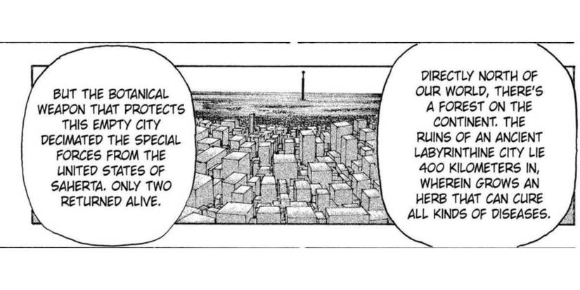 Hunter X Hunter: Everything That Was Brought From The Dark Continent ...