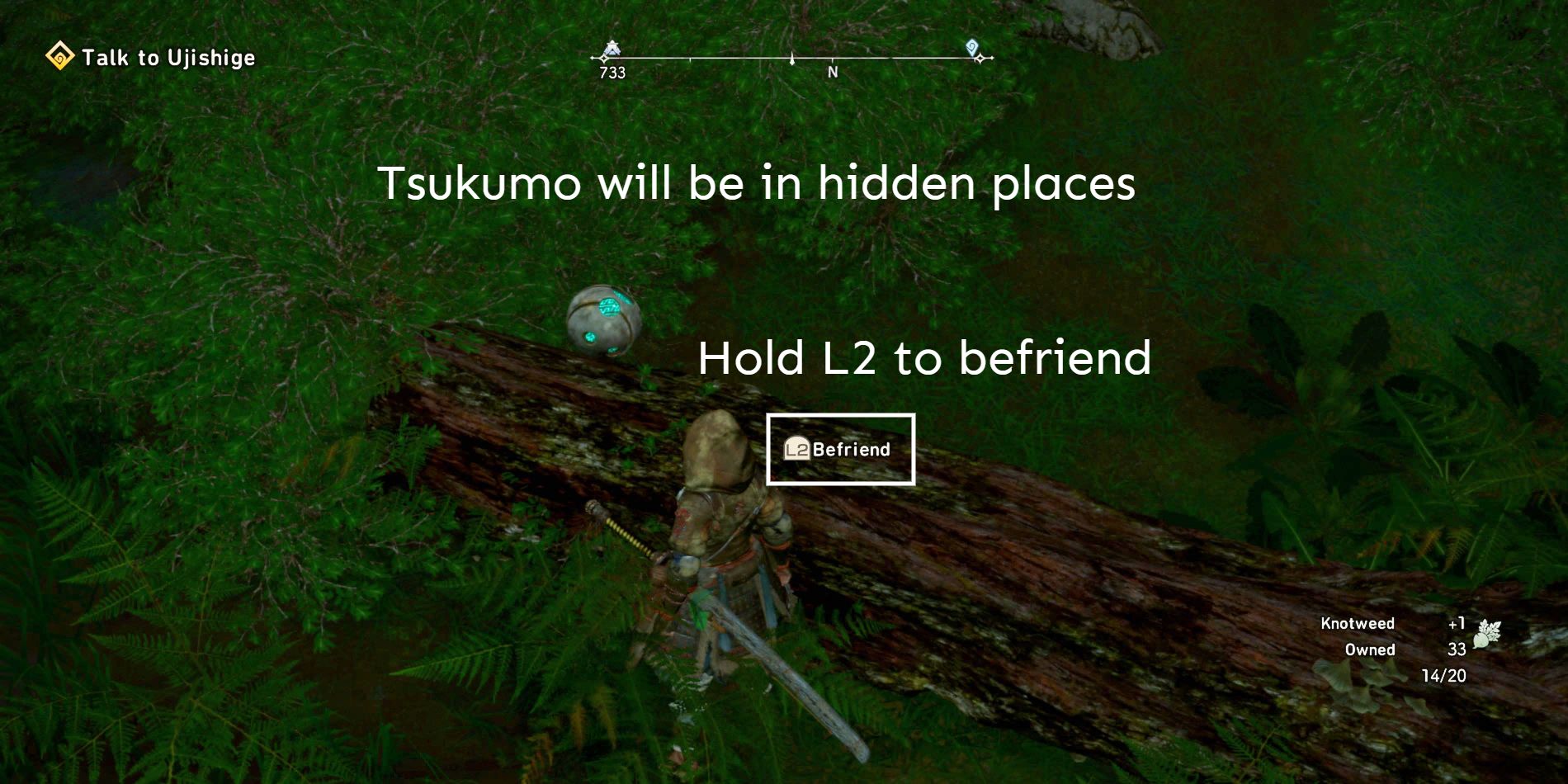 Wild Hearts: Tsukumo Explained