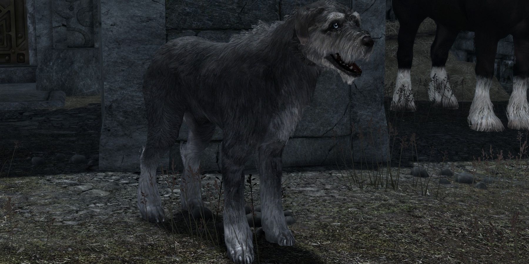 Adorable Skyrim Mod Lets Players Carry Around Miniature Animals