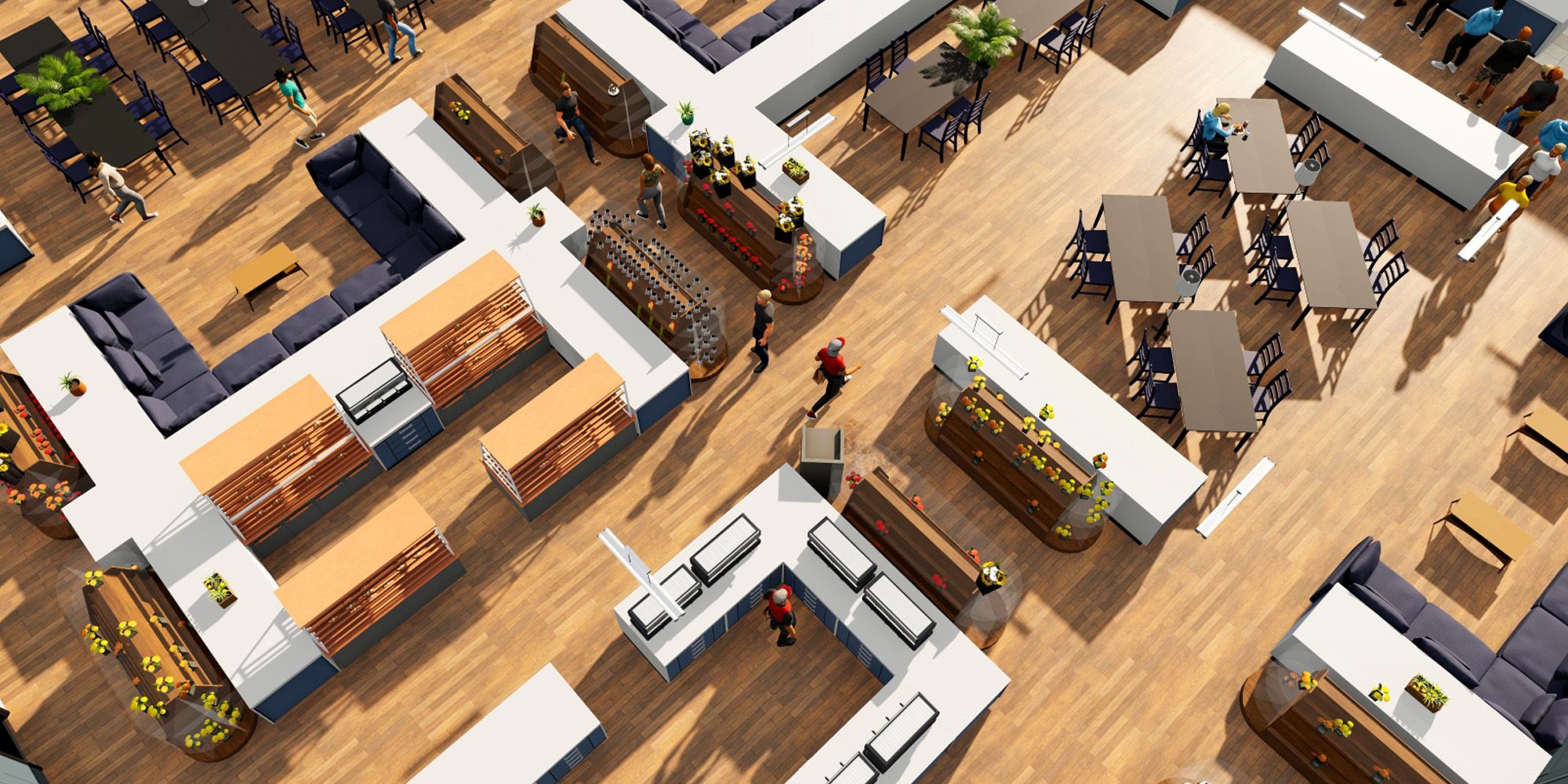 Beginner Tips For Big Ambitions