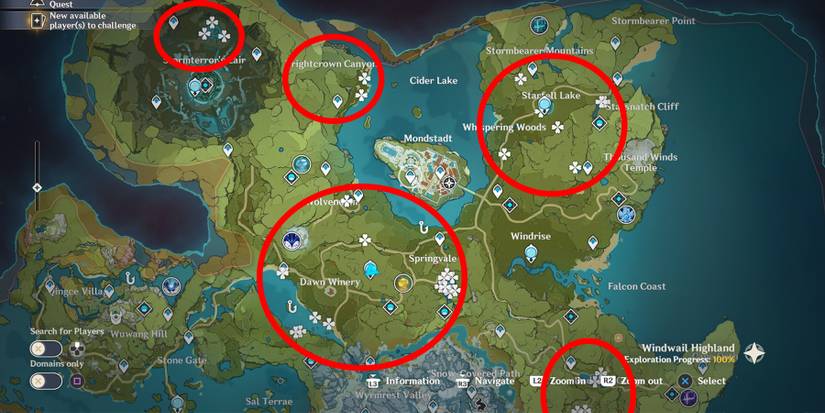 Genshin Impact: Calla Lily Locations