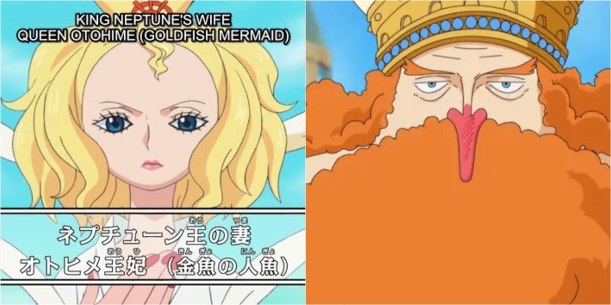 One Piece: Best Parents
