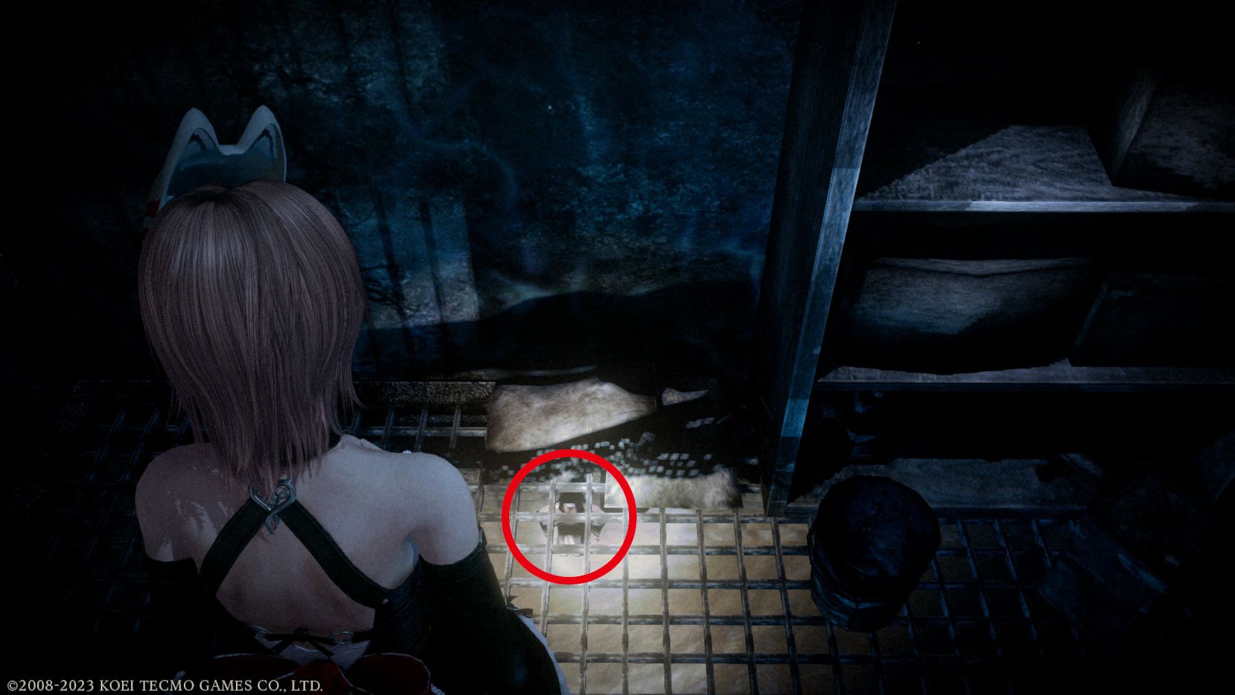 Fatal Frame: Mask of the Lunar Eclipse - Phase 4 Void Walkthrough