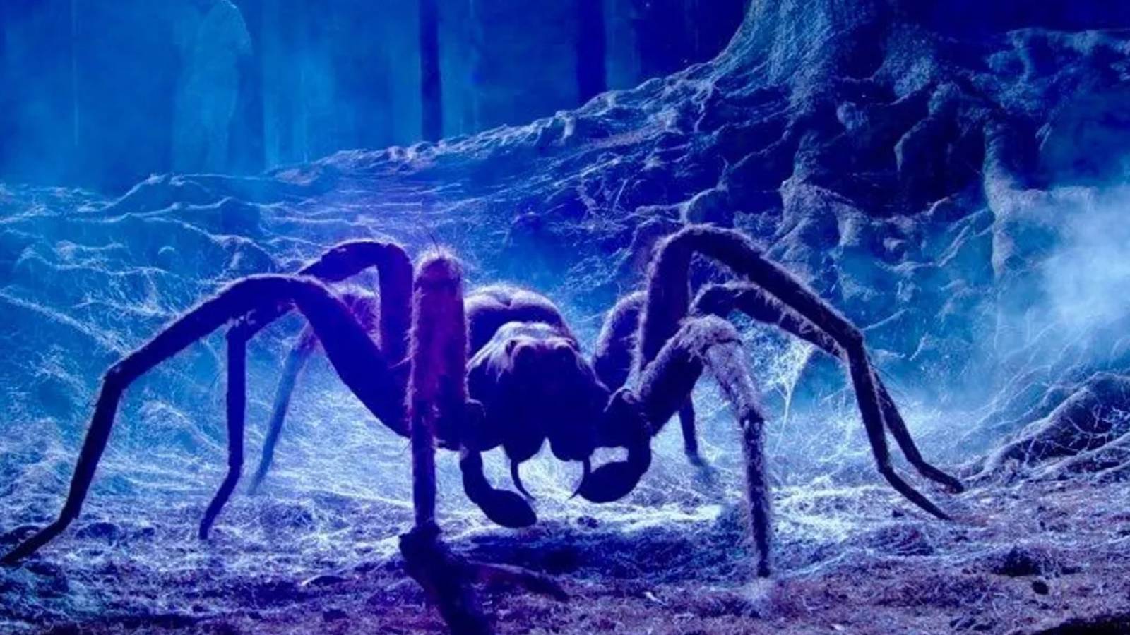 5 Underrated Horror Movies About Spiders