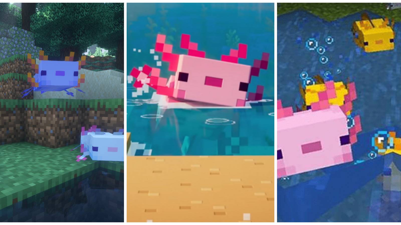Minecraft: Axolotls Facts