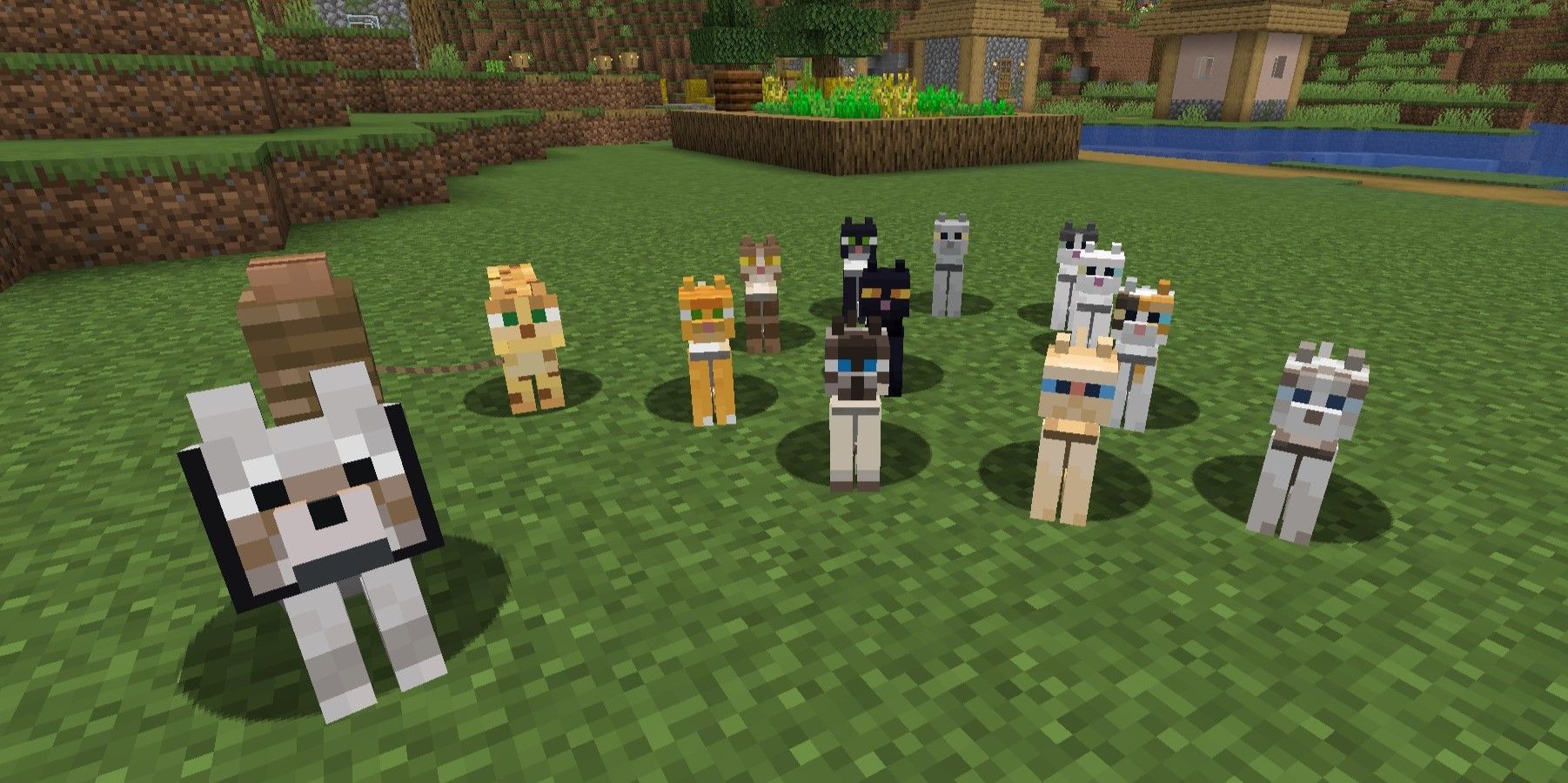 Minecraft Colored Wolves