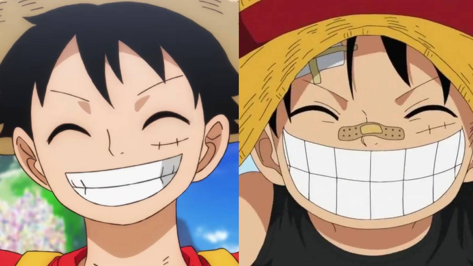 One Piece: Luffy’s Past, Explained