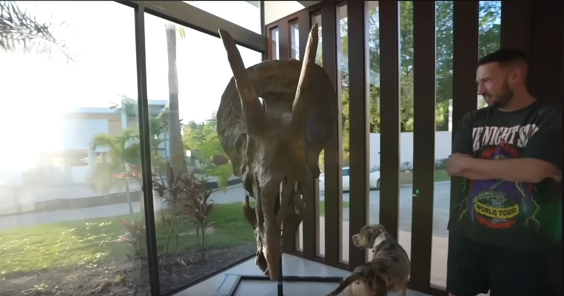 Logan Paul Owns 66 Million Year Old Triceratops Skull