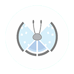 Pokemon GO: Vivillon Regions Guide