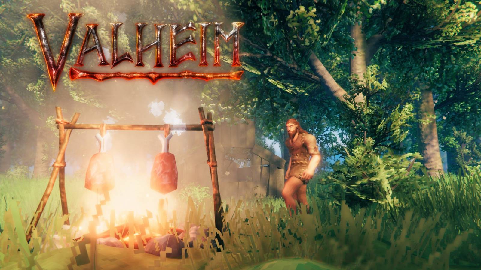 Valheim Beginner Tips