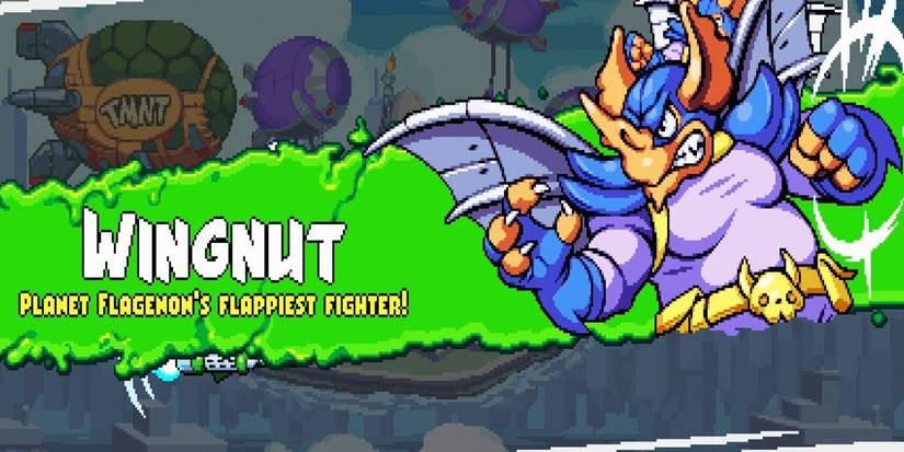 Teenage Mutant Ninja Turtles: Who Is Wingnut?