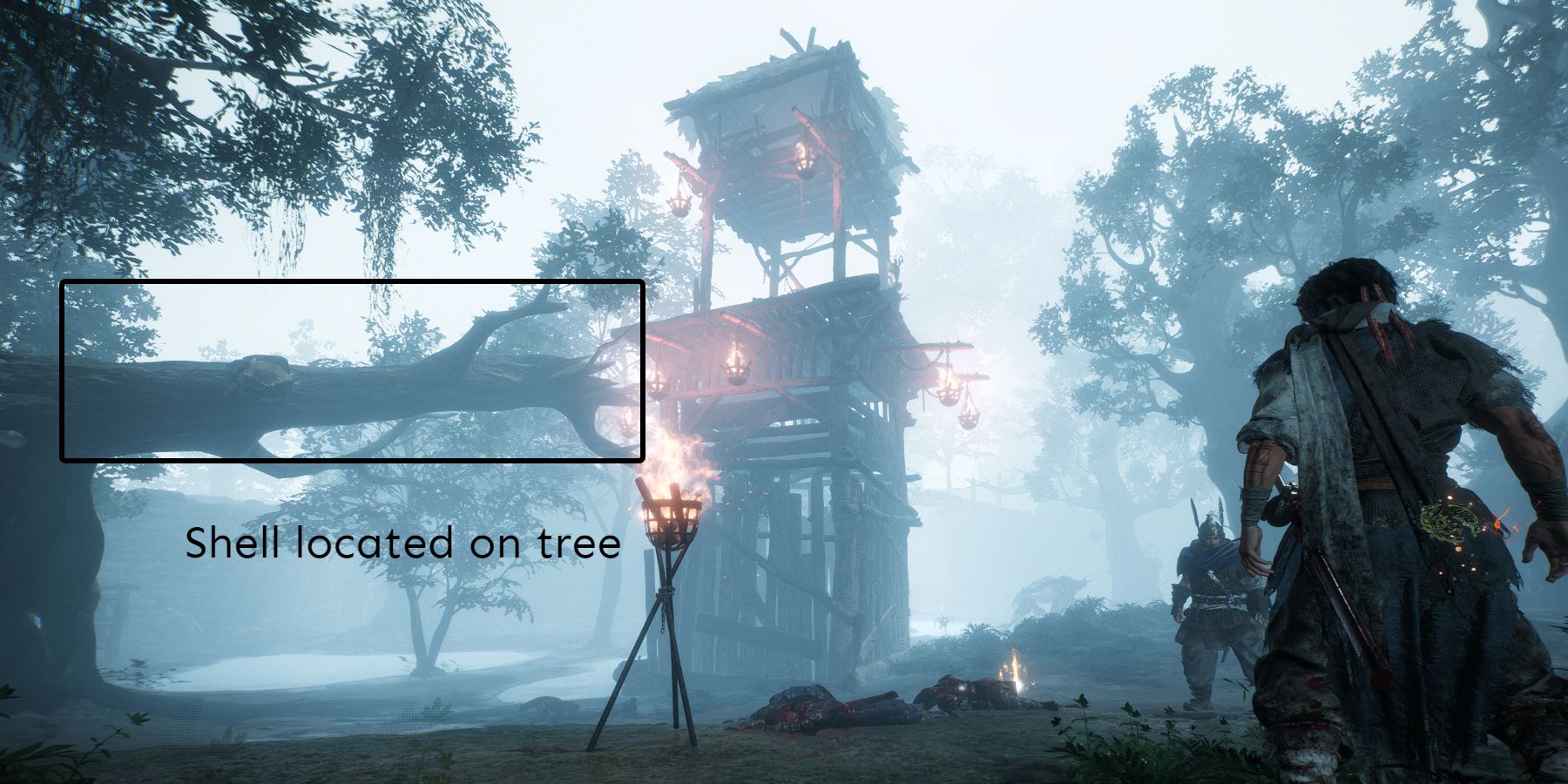 Wo Long: Fallen Dynasty - How to Find All Golden Cicada Shells ...