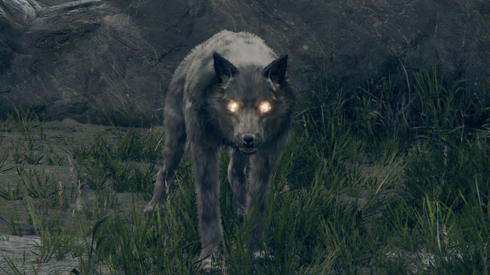 Elden Ring Invader Uses Game’s Lone Wolves to Pull Off Perfect Surprise Attack