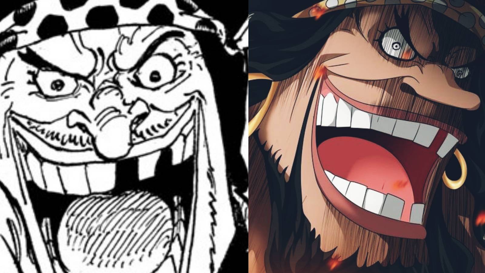 One Piece: Blackbeard's Pirate Country, Explained
