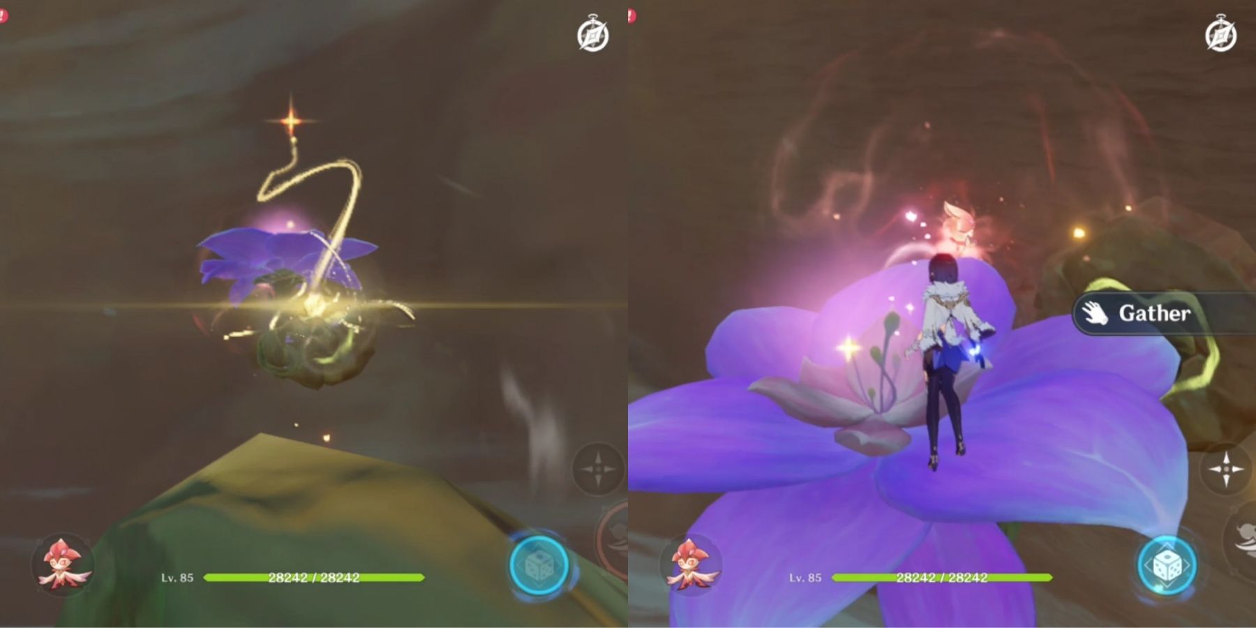 Genshin Impact: Udumbara Locations