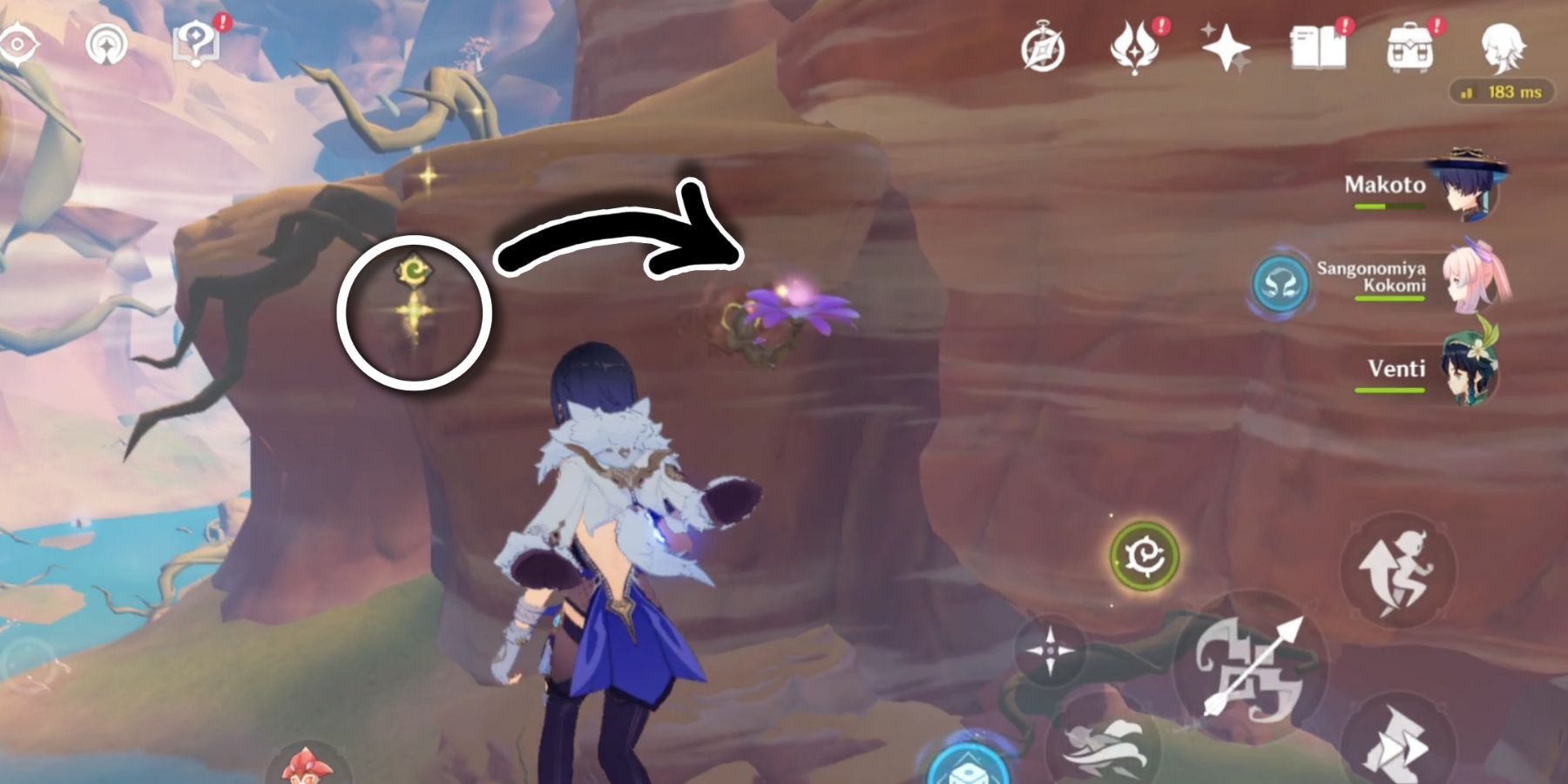 Genshin Impact: Udumbara Locations