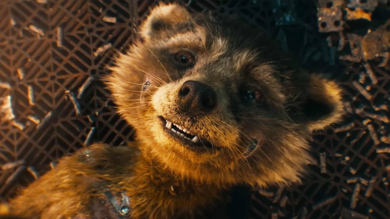 Guardians Of The Galaxy 3: James Gunn Gives Rocket Racoon Update