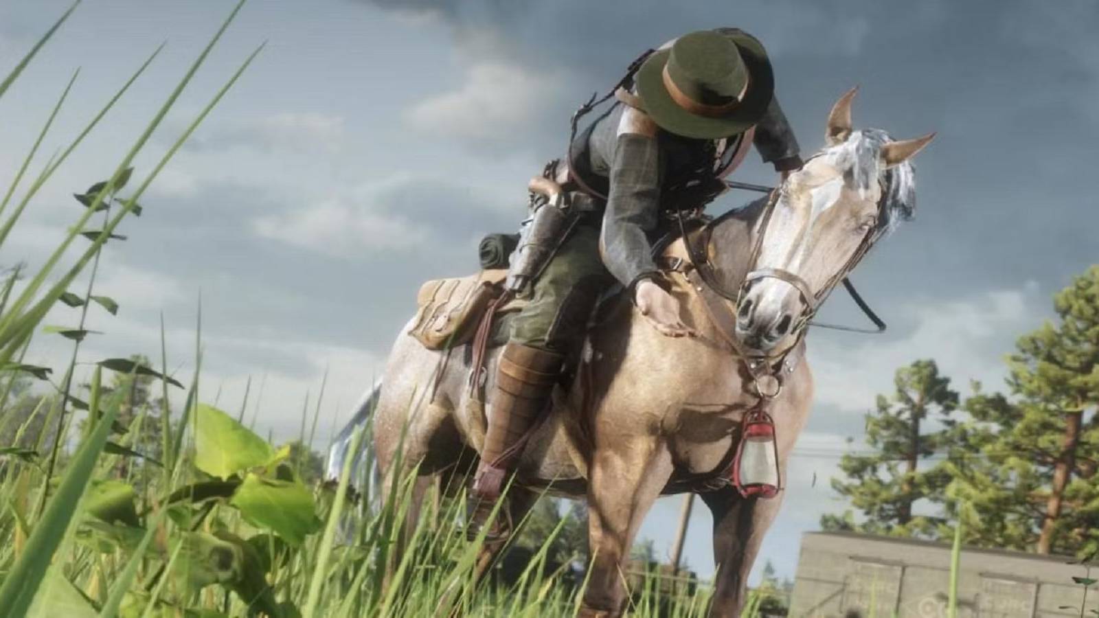 Red Dead Redemption 2 Player Notices Small Detail After 1900 Hours