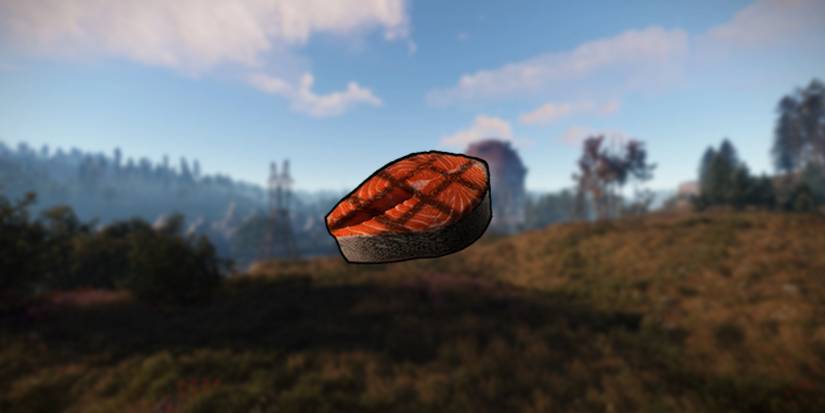 Rust: Best Food For Horses