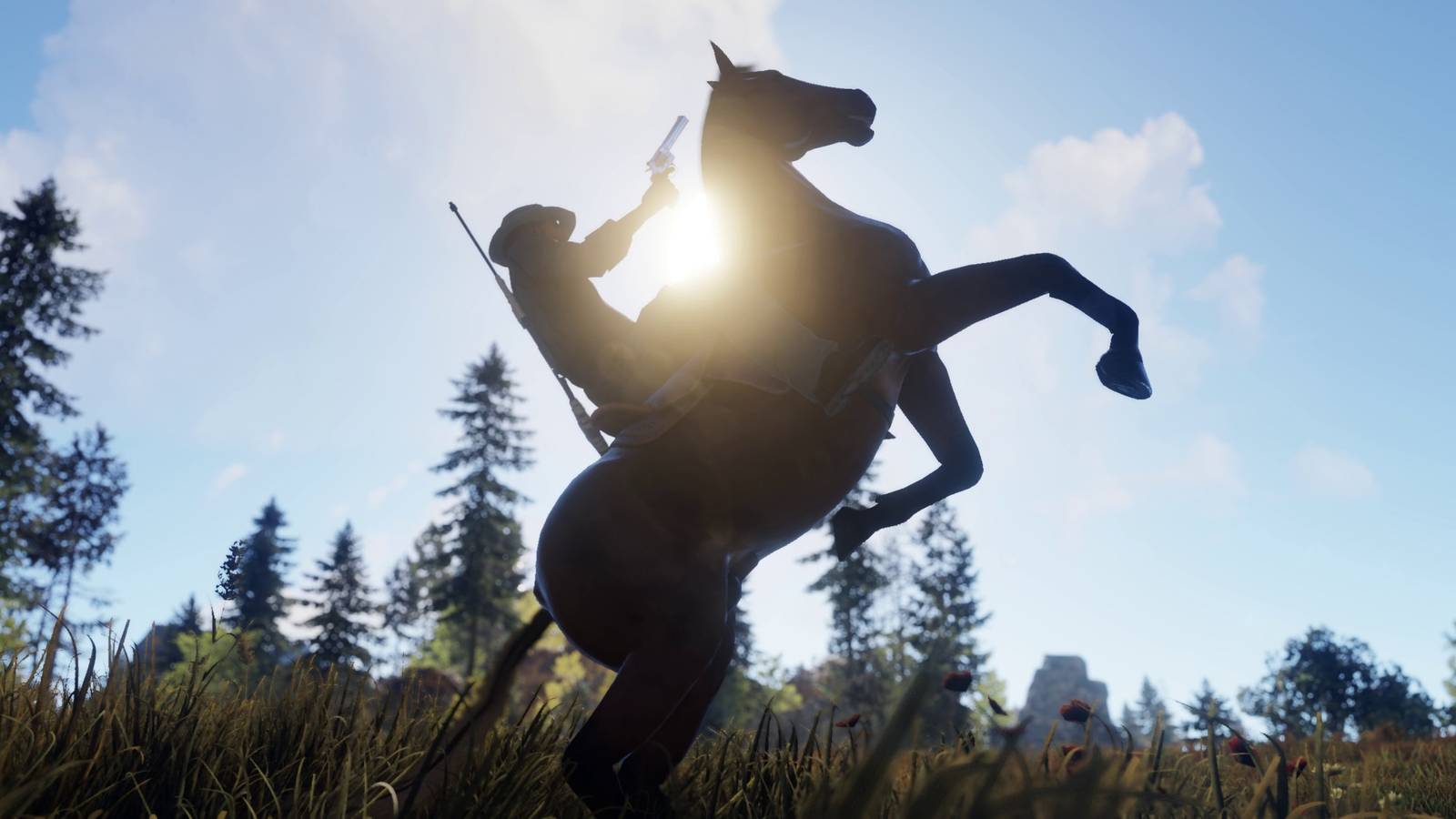 Rust: Best Food For Horses