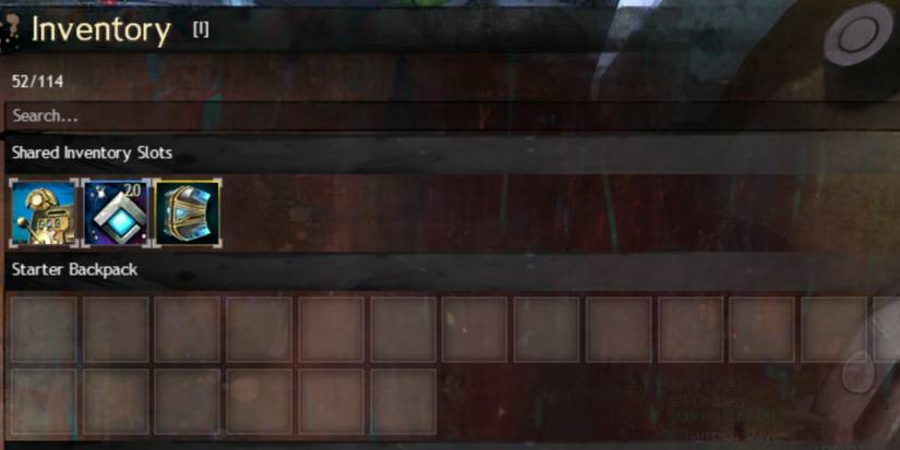 Guild Wars 2: Best Items To Buy On The Gem Store