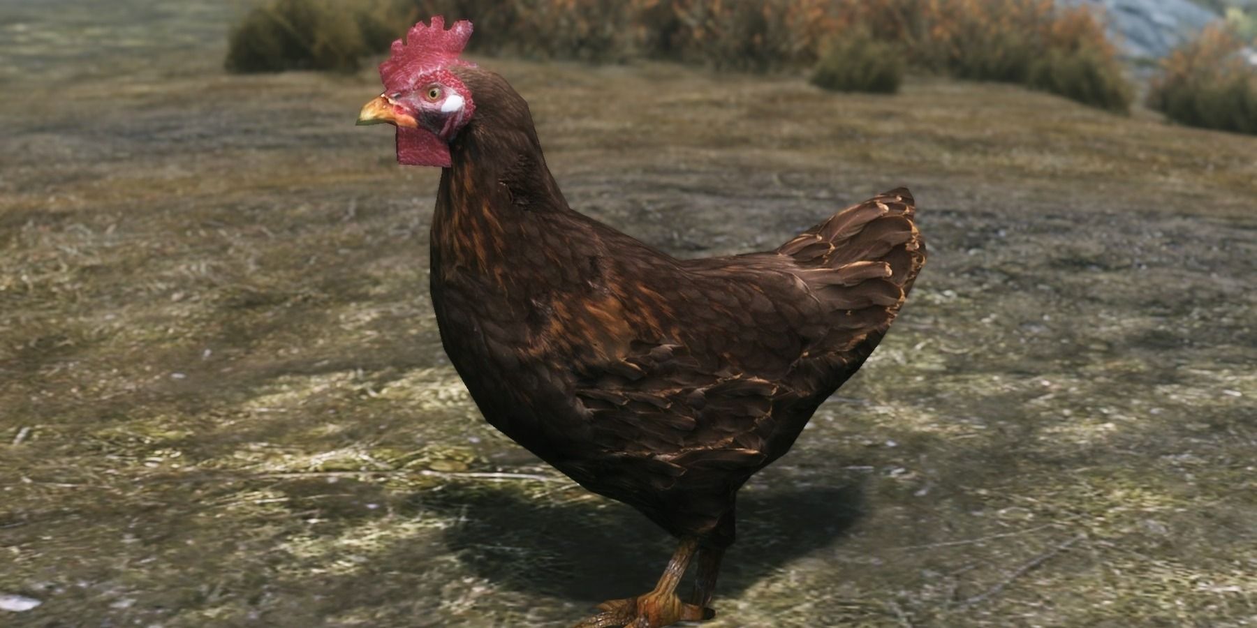 Skyrim’s Most Adorable Mod Sees Gerbils Riding Chickens
