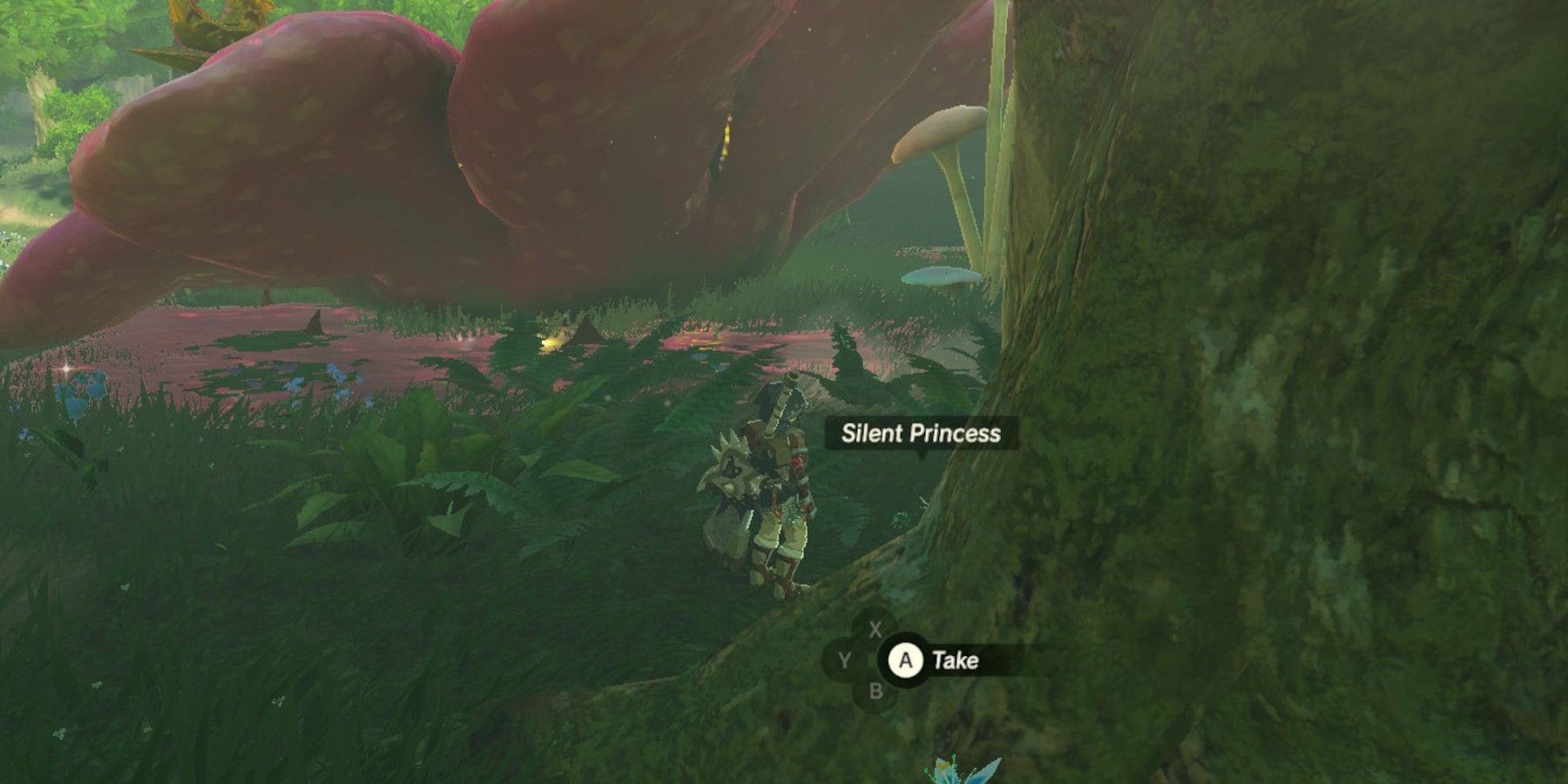 Zelda: Breath of the Wild - Where to Farm Silent Princesses