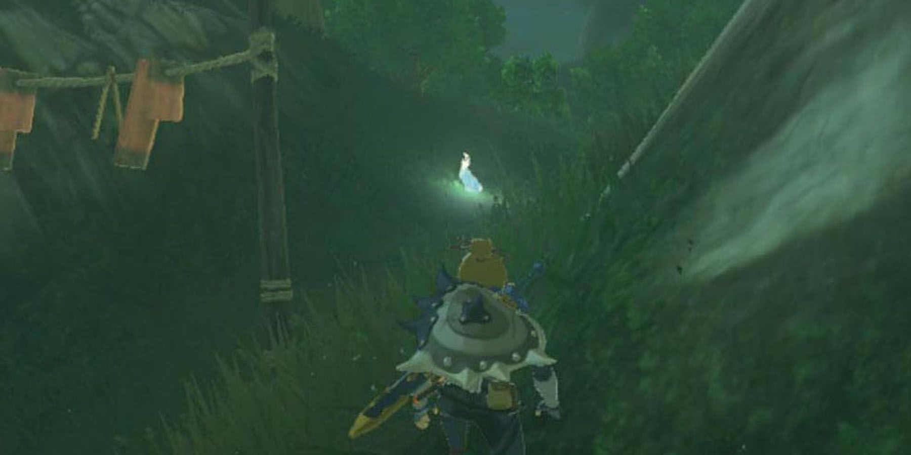 Zelda: Breath of the Wild - Blupee Guide