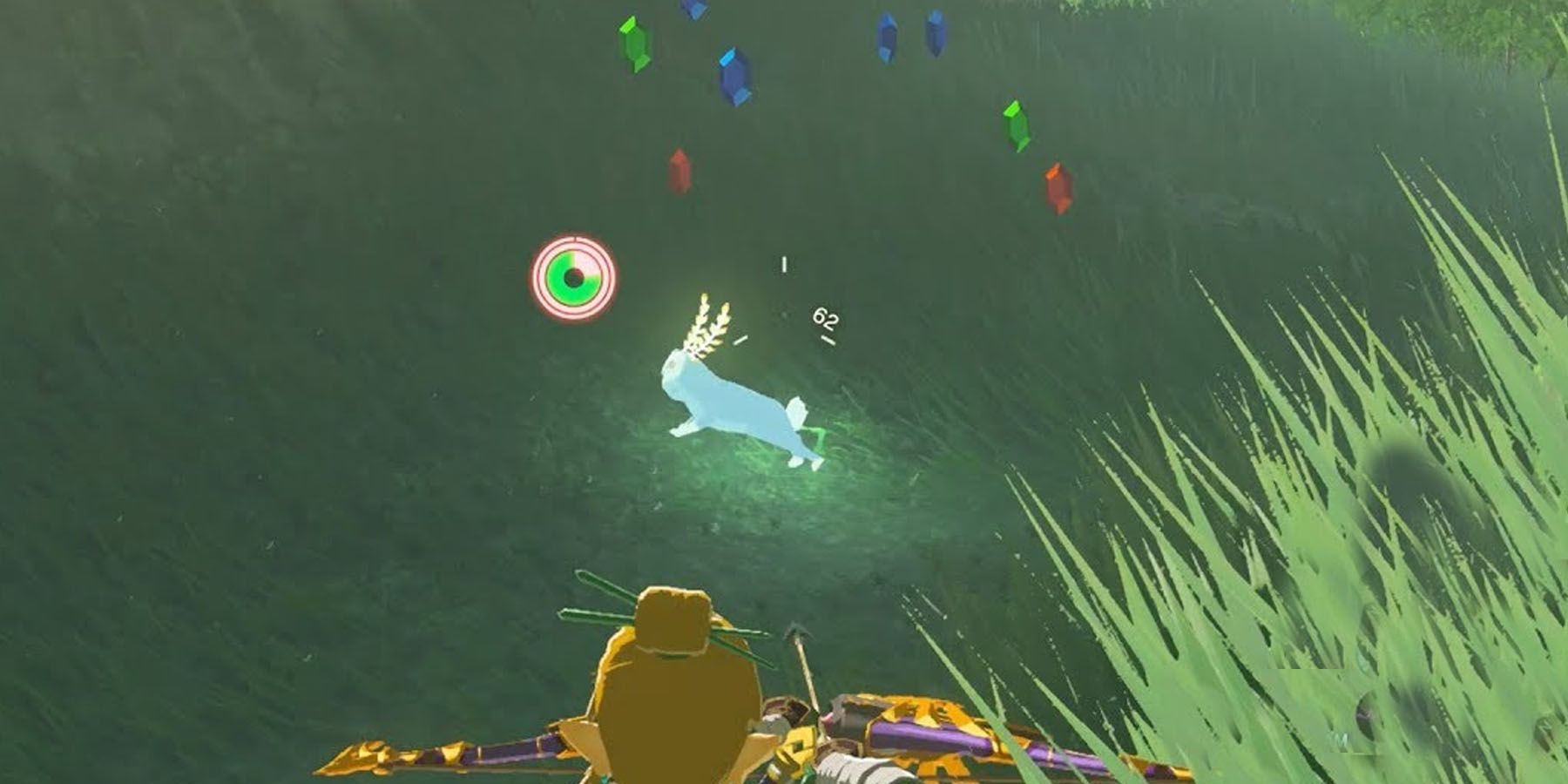 Zelda: Breath of the Wild - Blupee Guide