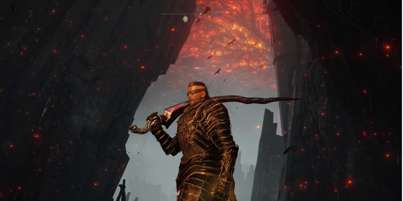 Elden Ring: Weapons That Require The Highest Dexterity Stat