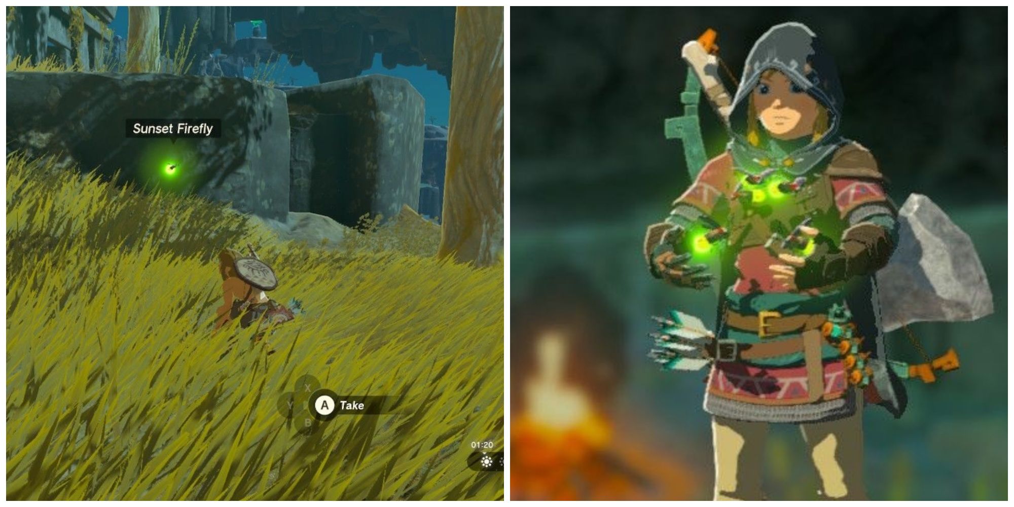 Zelda: Tears of the Kingdom - How to Catch Sunset Fireflies