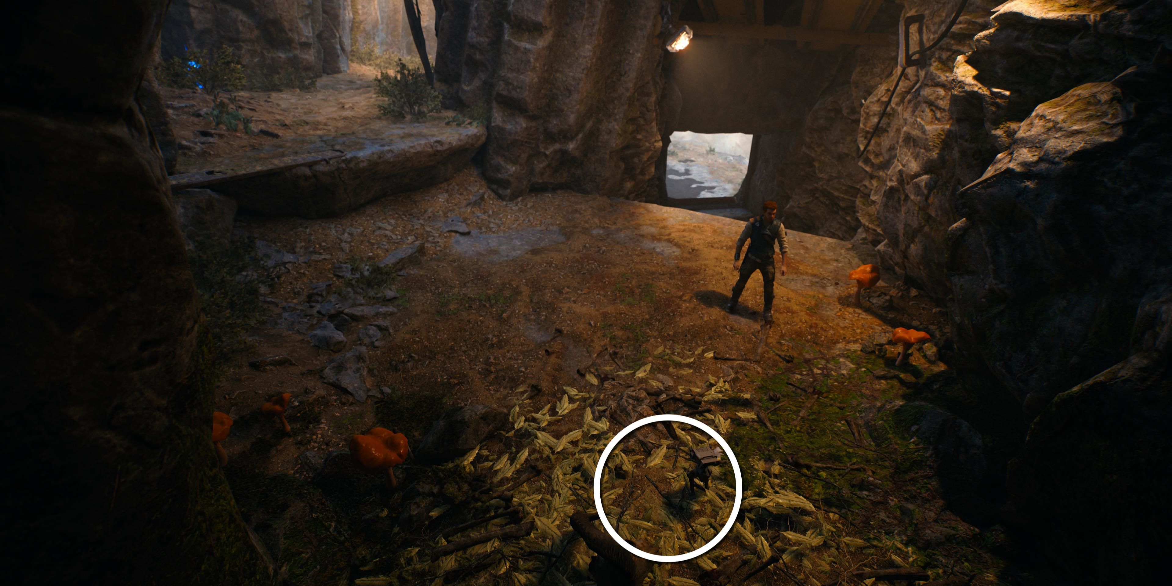 Star Wars Jedi: Survivor - All Koboh Databanks: Dredger Gorge