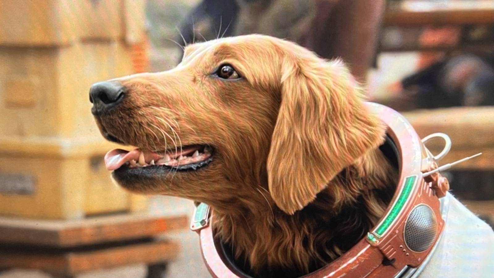 Guardians Of The Galaxy Vol. 3: James Gunn Explains Cosmo Gender Swap